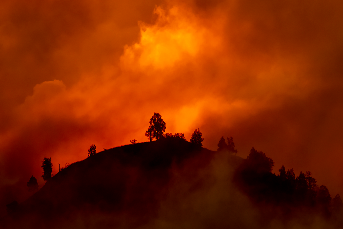 How Workplaces Can Prepare for Oregon's Wildfire Season | AGC - Oregon ...